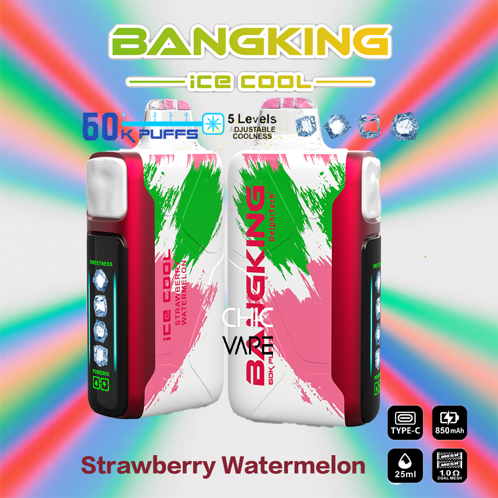 BangKing Ice Cool 60K – 12 Flavors, 60000 Puffs, Adjustable Cool Vape ...